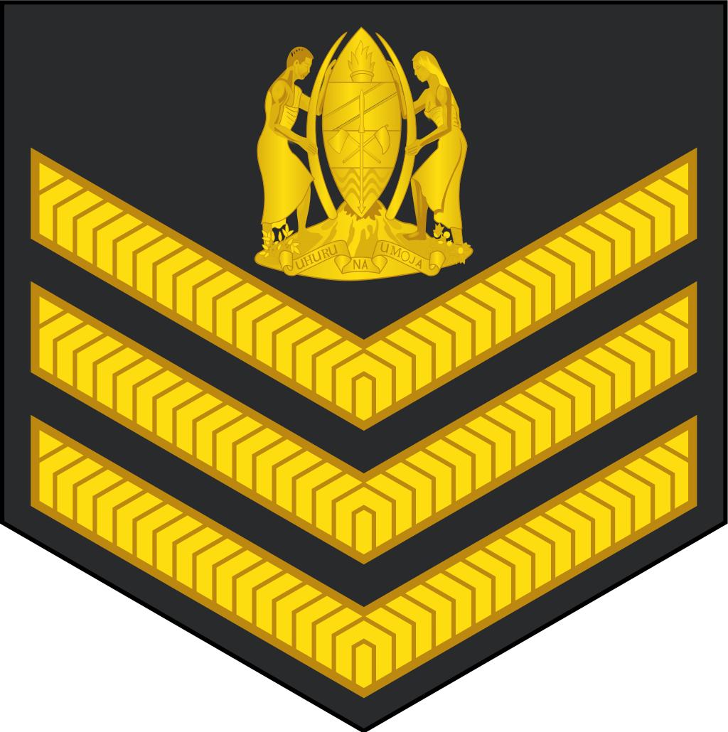 Military rank identification of each country: Tanzania - iMedia