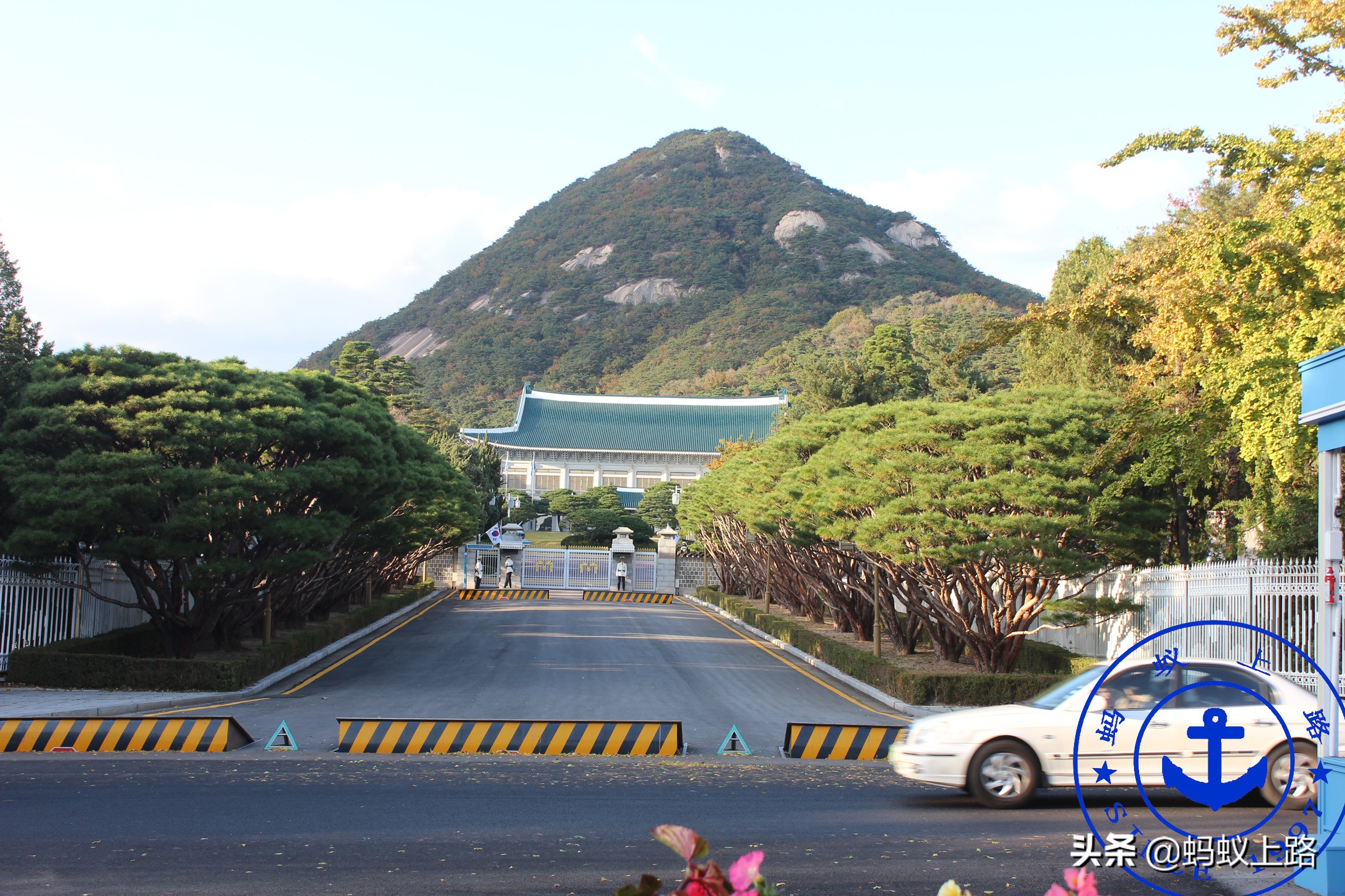 Presidential Palace of the Blue House, South Korea - iMedia
