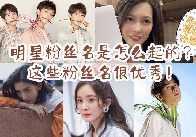 How do celebrity fans get their names?These fan names are very good ...