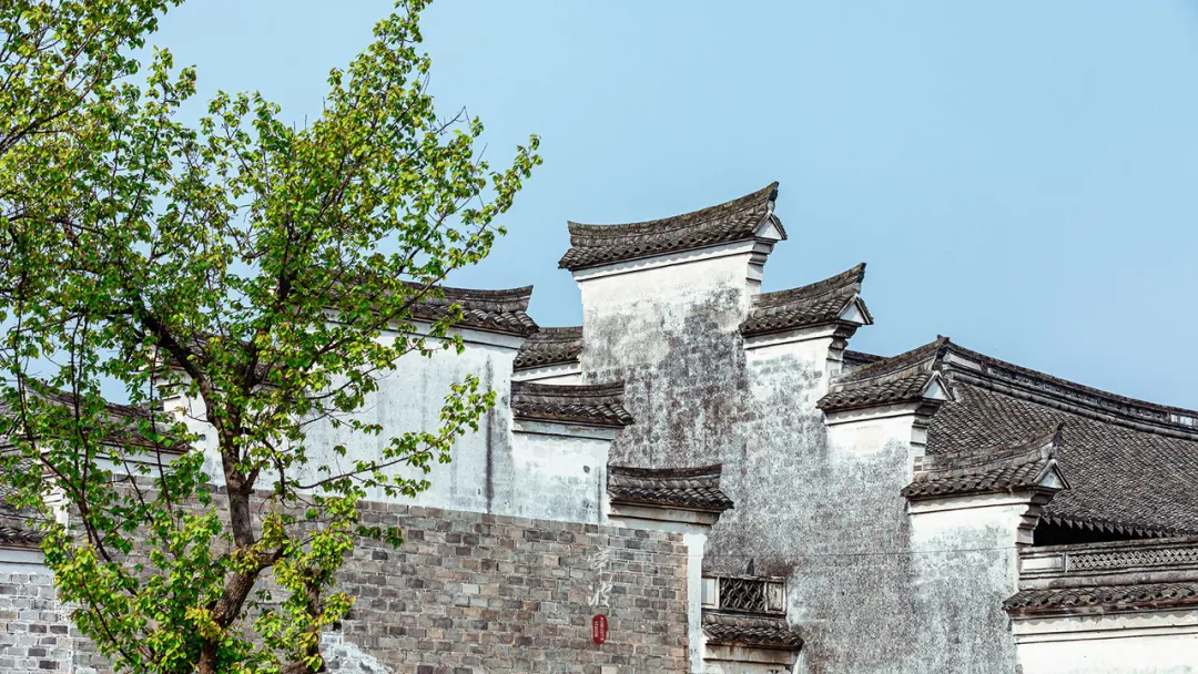 The ancient town of Cicheng was really "lied" by you - iMedia