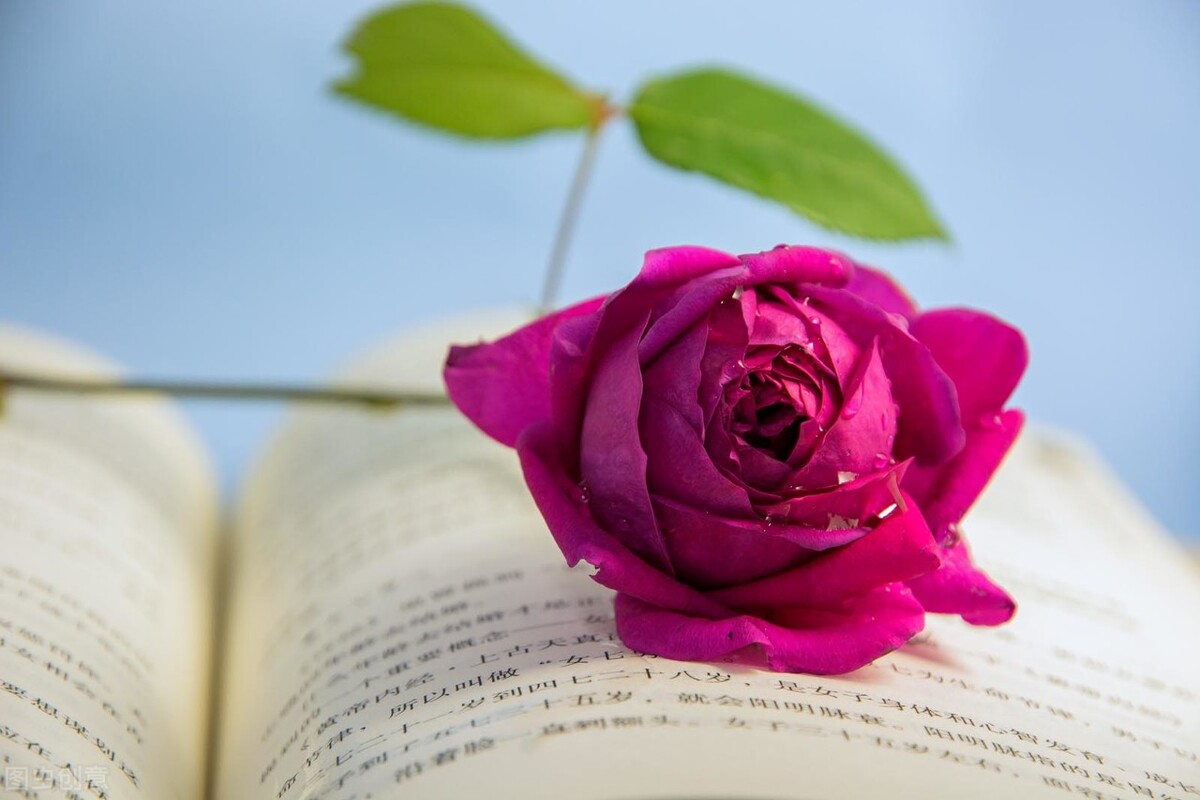 Cheng Xiao donated 100,000 yuan and was complained about, how terrible ...