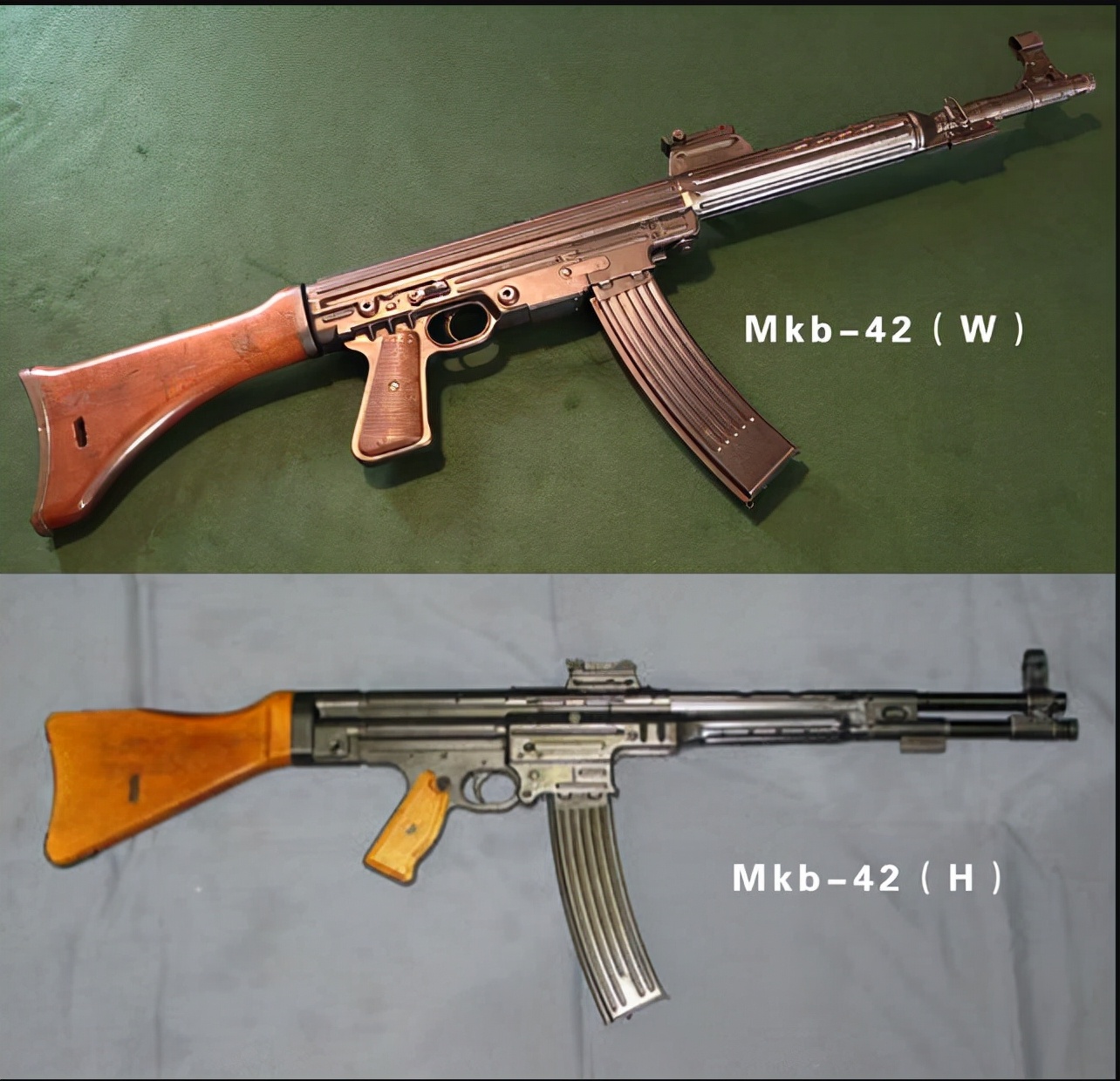 How to distinguish between automatic rifle and assault rifle, the ...