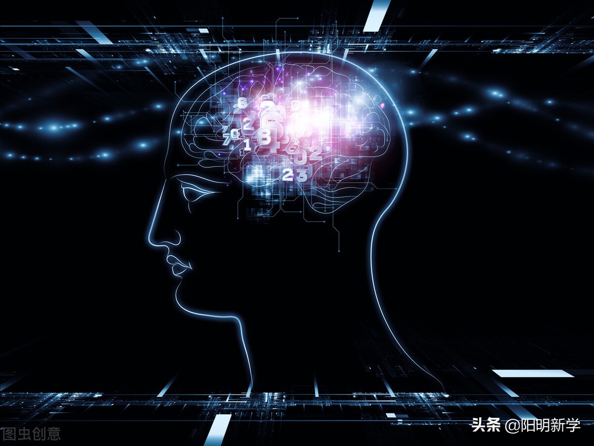 Quantum mechanics: the soul is the quantum program in the brain, and ...