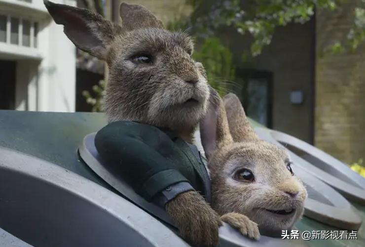 "Bit Rabbit 2" confirmed to be introduced to the mainland, the file is ...