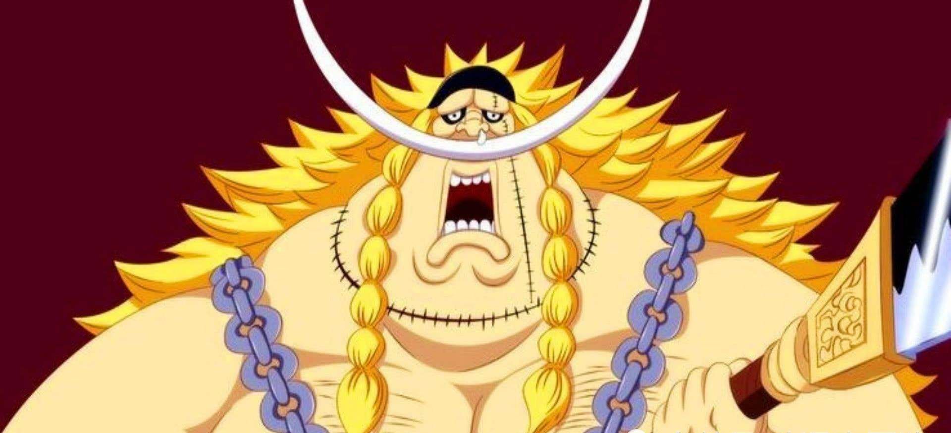 Those unique beards in One Piece, 3 kinds of lush nose hair, 3 kinds of ...