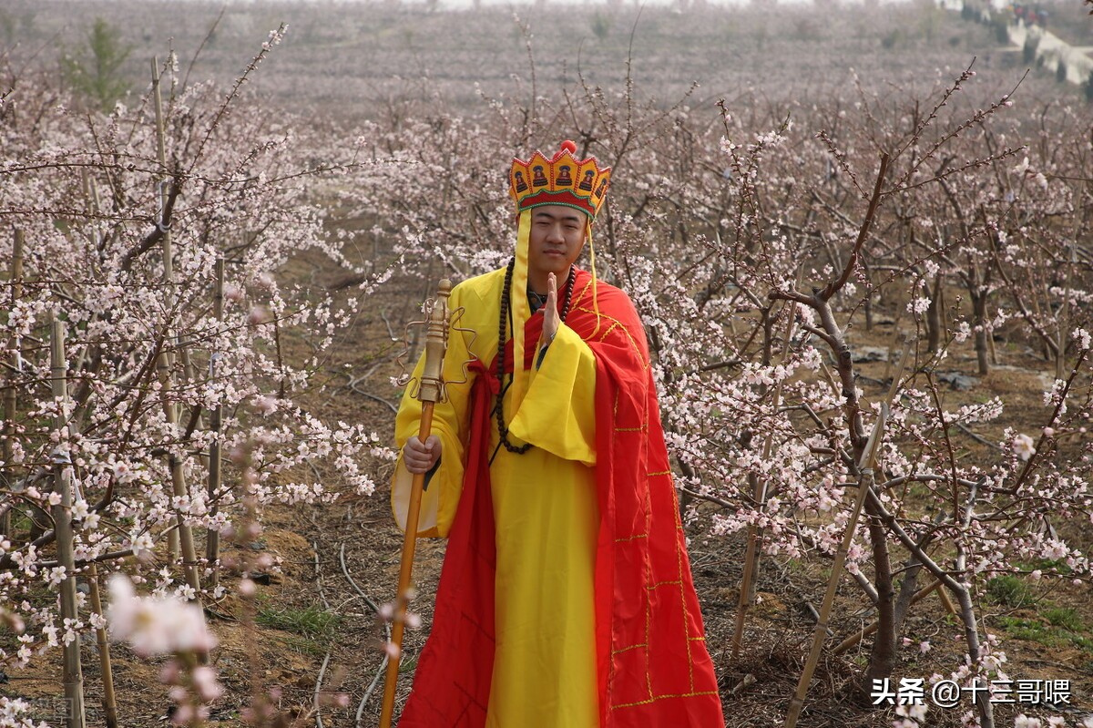 When the White Lady enters the Journey to the West, what level is the ...