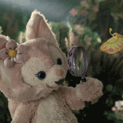 Disney Lena Belle - iMedia