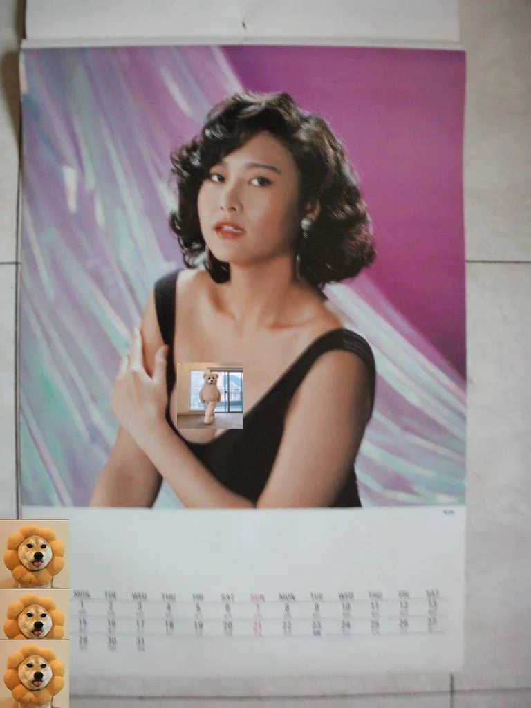 The female celebrity calendars of the 1980s and 1990s are retro and ...