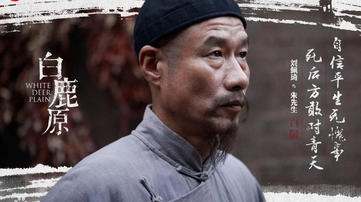 Liu Peiqi: A wonderful life from a line-participant to a national actor ...