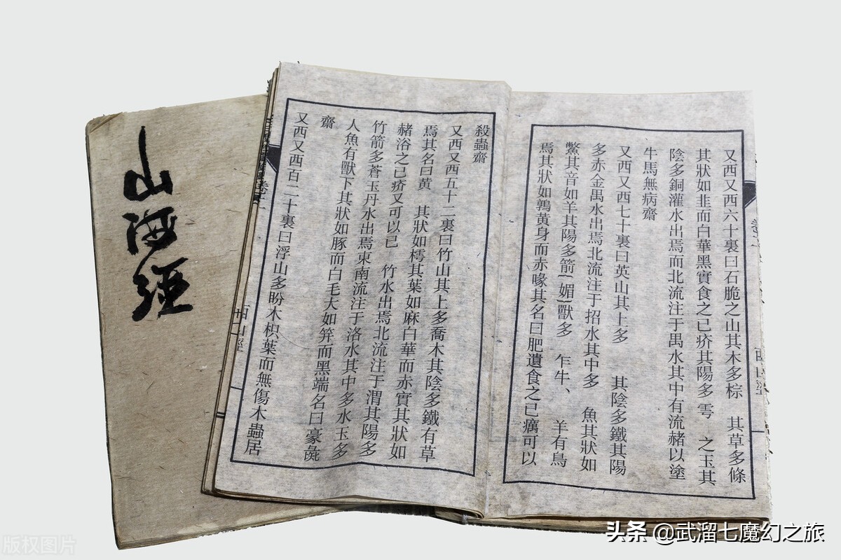 The shocking mystery in "Shan Hai Jing", "Huang Di Nei Jing" and "I ...