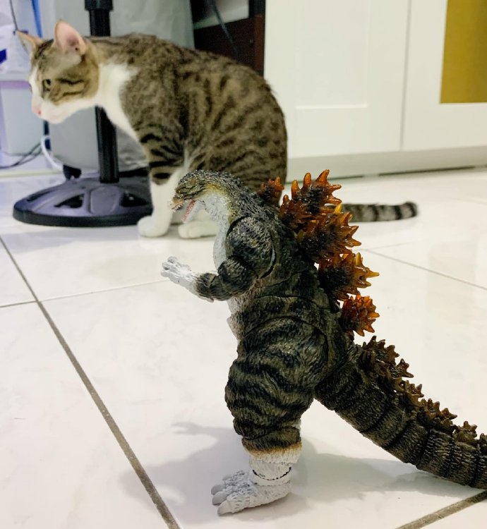 Cute pet cat color matching Godzilla model "Godzilla" - iMedia