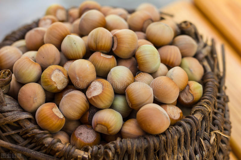 Nutritious food-hazelnuts - iMedia