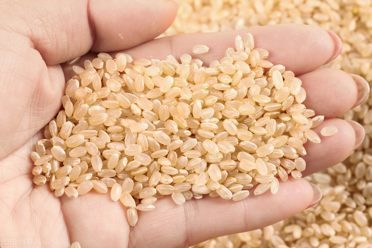 The origin of germ rice, why eat germ rice?it's actually really easy - iMedia