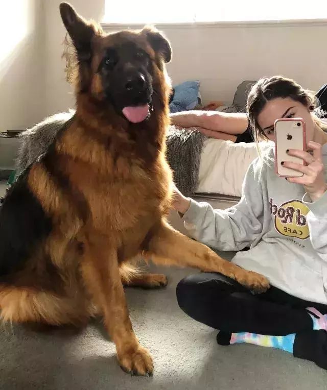 There are 5 more "human" dogs in the dog world. You treat them well ...