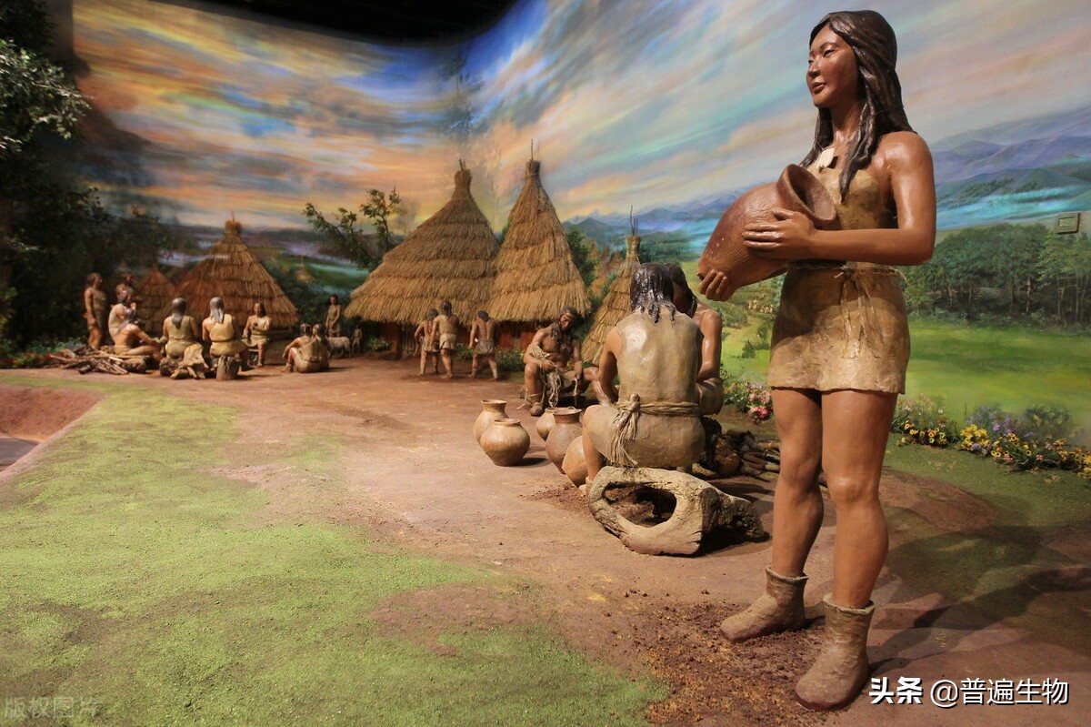 Apart from human beings, who is the most advanced creature on this ...