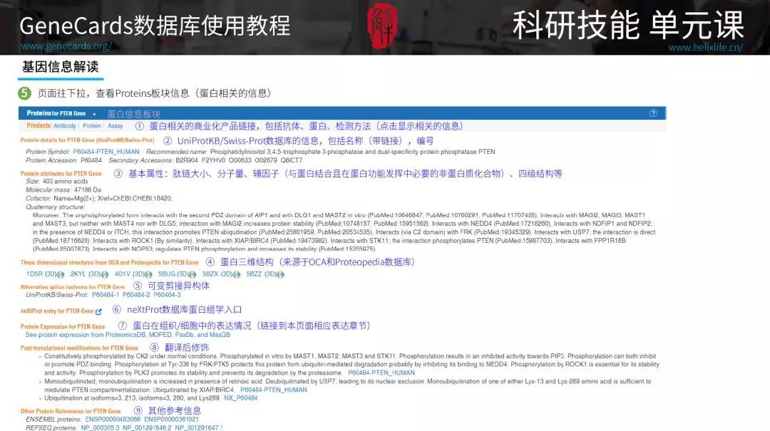 If you know how to use GeneCards, you will have the first key to open ...