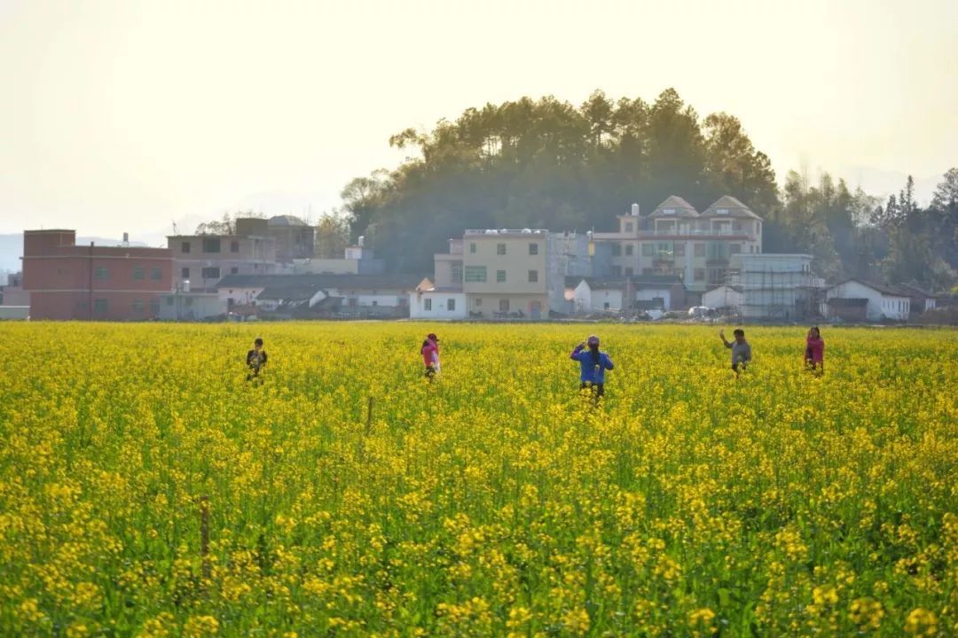 This is Lintou Town! - iMedia