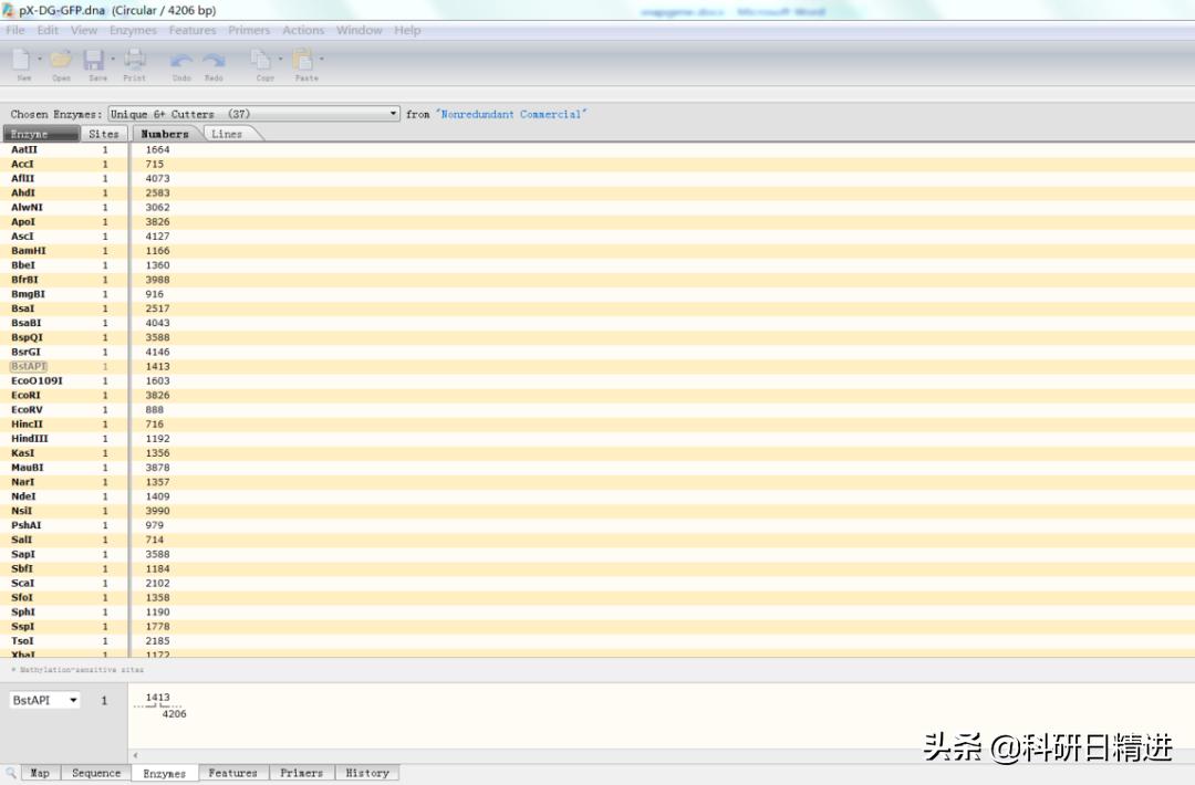 Use Snapgene for vector sequence analysis - iMedia