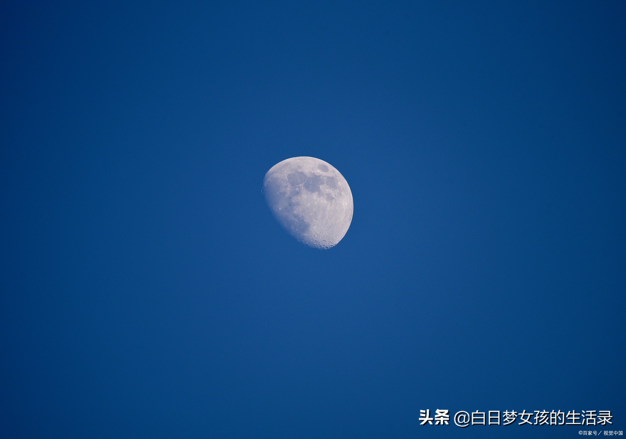 "Lucong tonight is white, the moon is the hometown Ming", now I know ...