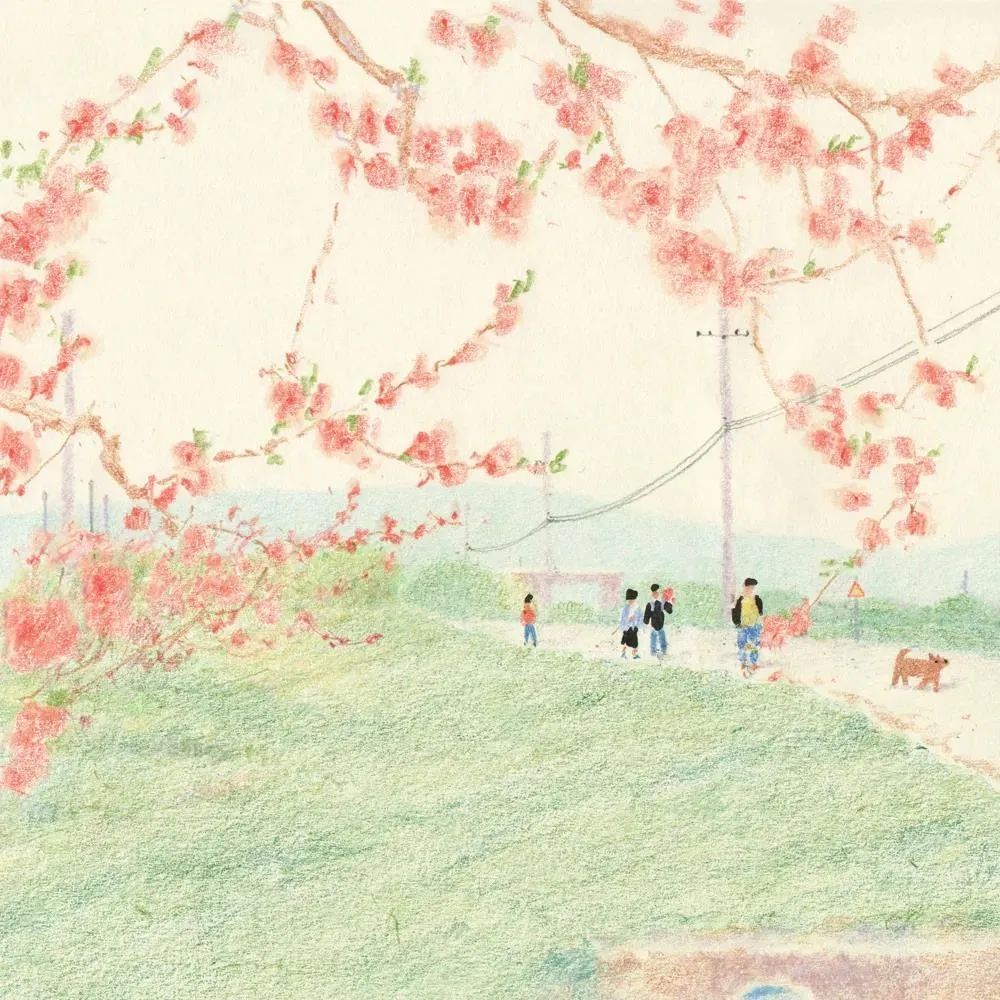 Korean illustrator-Kyutae Lee - iMedia