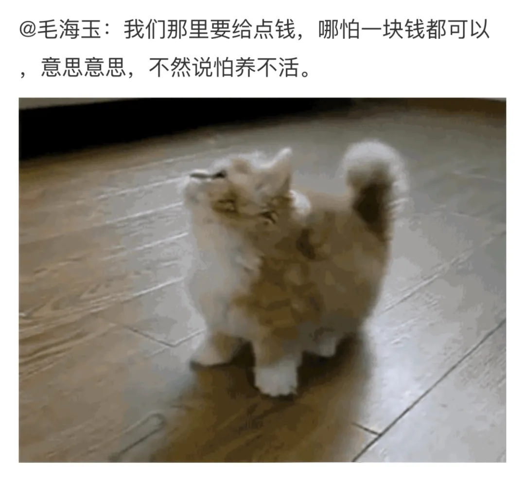 Good guy, strange knowledge has increased... - iMedia