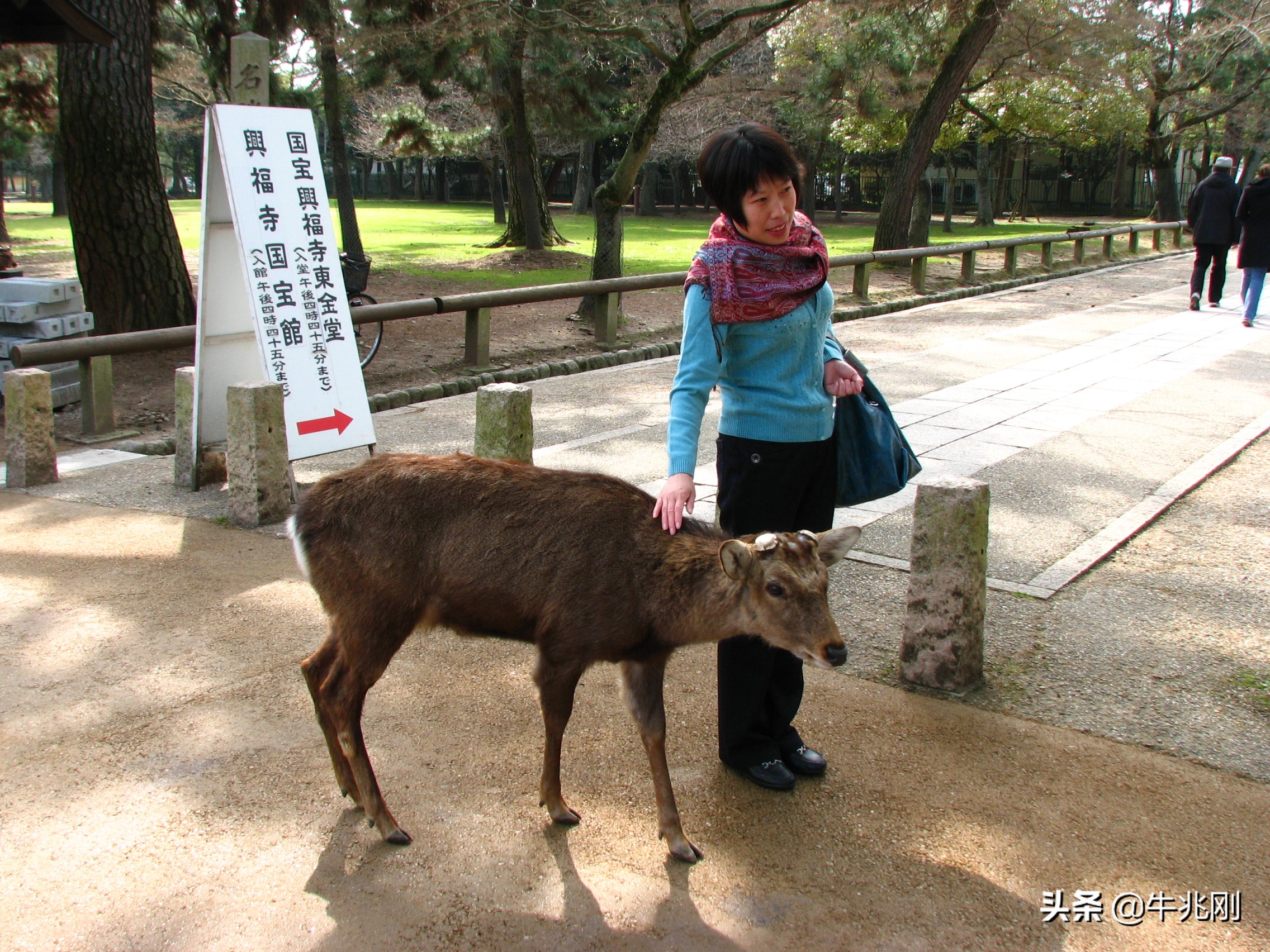 Toyo Information: Fukuko Temple in Nara Park, Japan's World Heritage ...