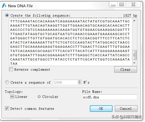 Use Snapgene for vector sequence analysis - iMedia