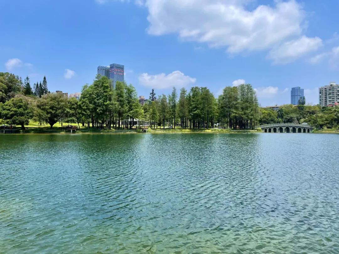 The memory of a generation of Shenzhen, now that Sihai Park has ...