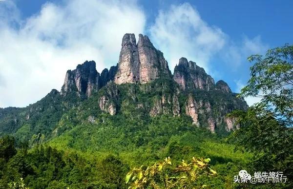 In Guangxi~Forest Adventure!Climbing to the top of the mountain, high ...