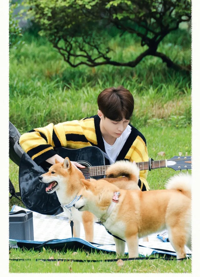 The yearning life no longer makes the audience yearn for, can Xiang 6 ...