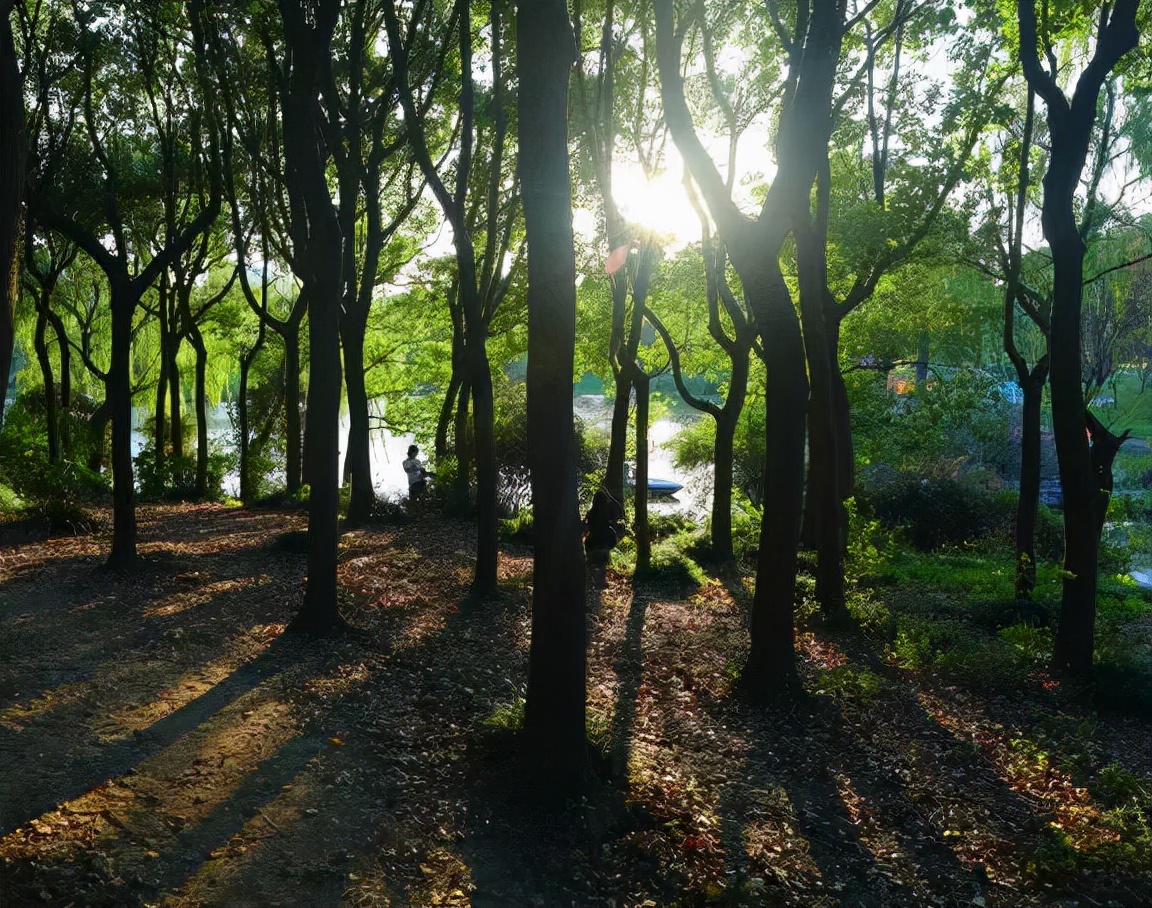 Minhang Sports Park - iMedia