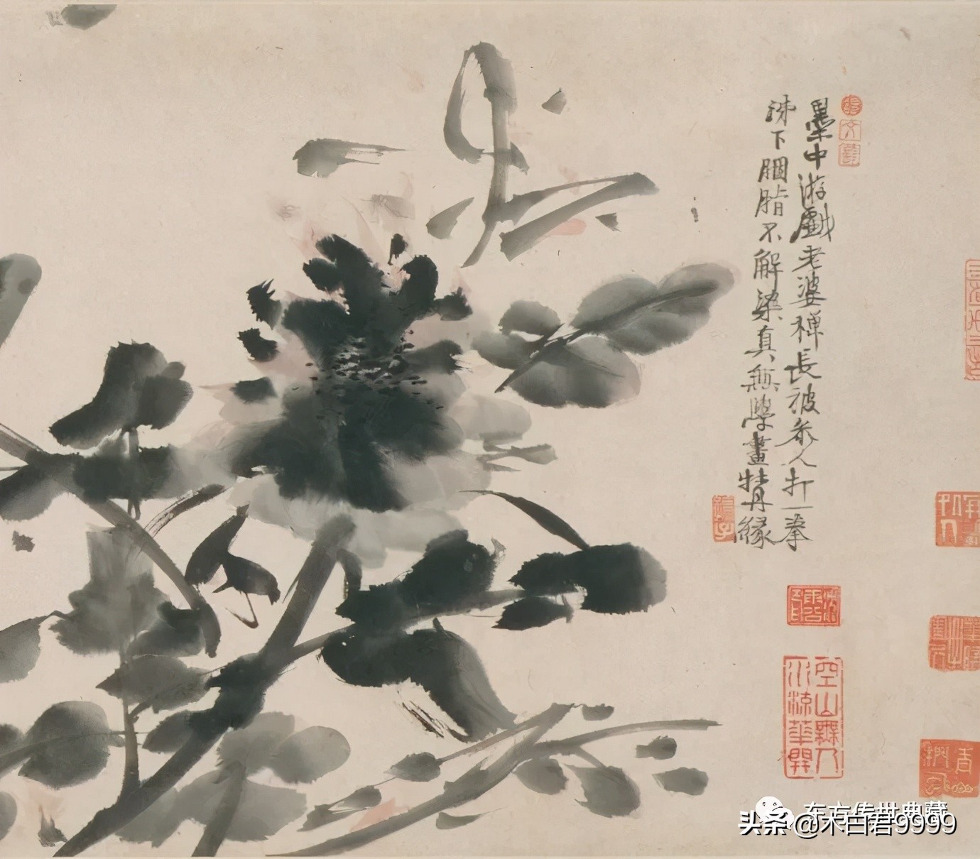 Ming. Appreciation of Xu Wei's "Flower Picture Scroll" - iMedia