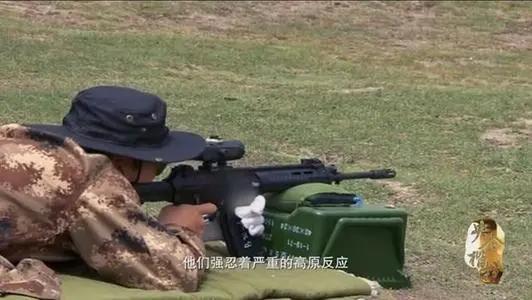 QBU-191 precision rifle, kills live targets at a distance of 800 meters ...