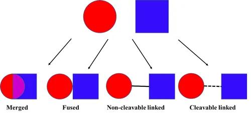 The rational multi-target drug design strategy from the perspective of ...