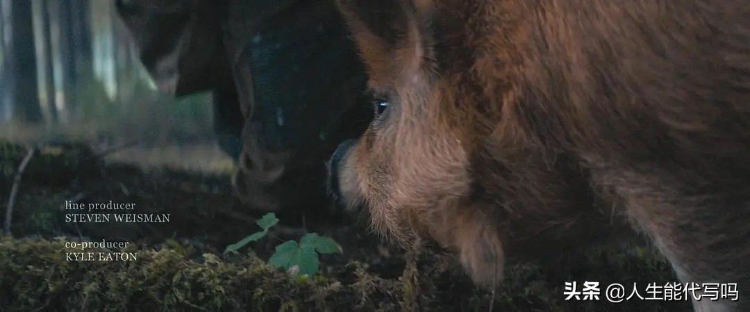 "PIG" the legendary pig and the legendary chef - iMedia