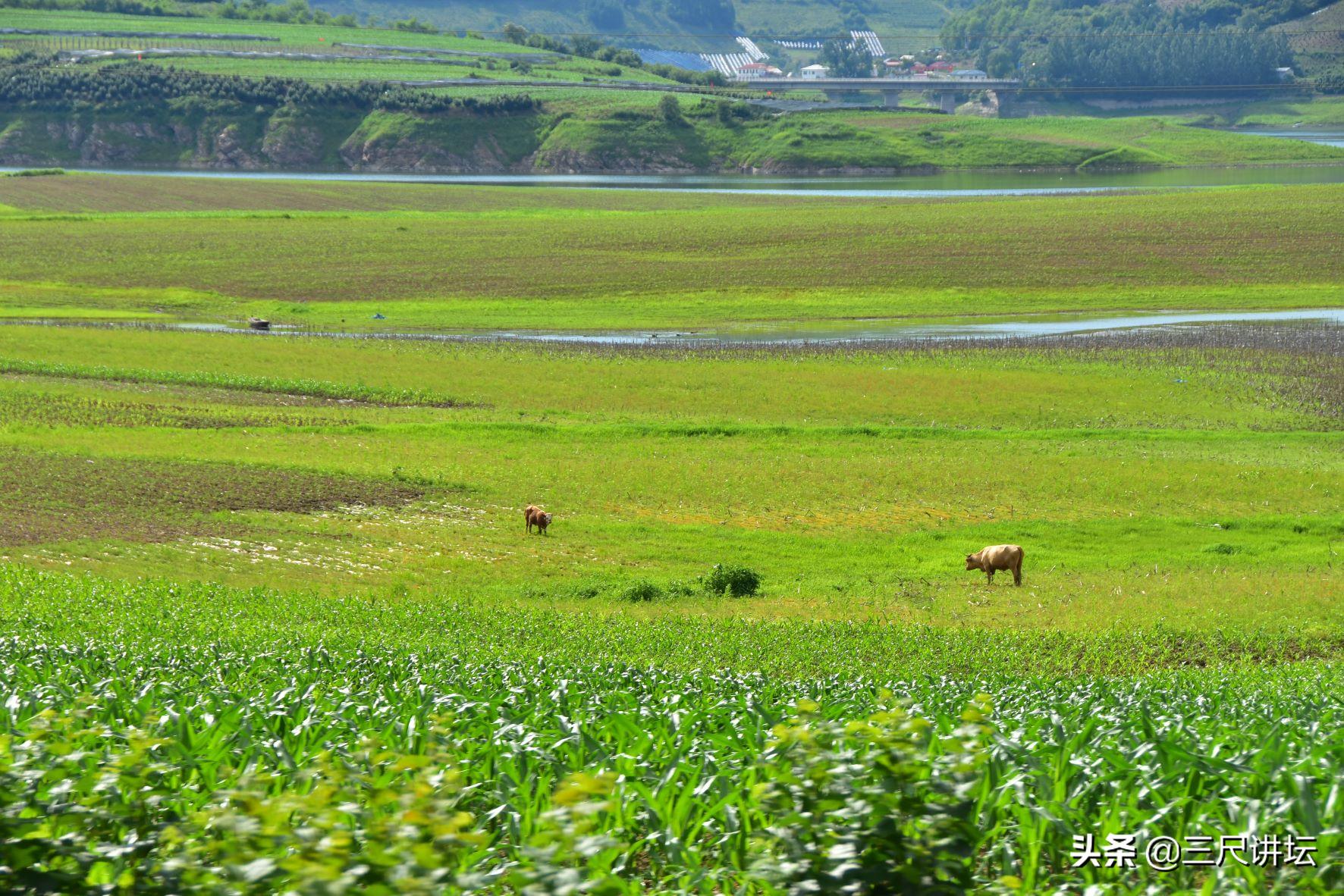 The Hun River in Qingqing: a big turn and the estuary that merges into ...