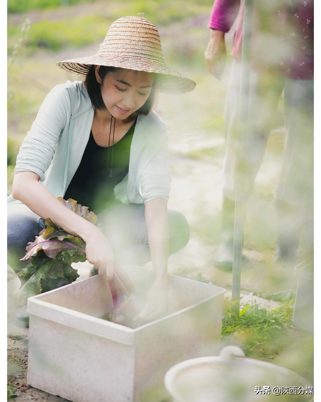 As the heroine of the new drama, Chen Ziyao "changed career" as a ...