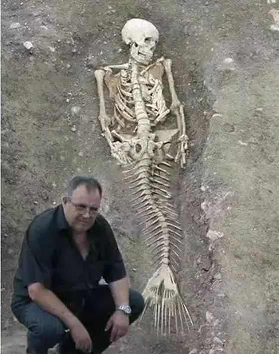 In 1980, South China Sea fishermen caught "mermaid"?Many mermaid ...