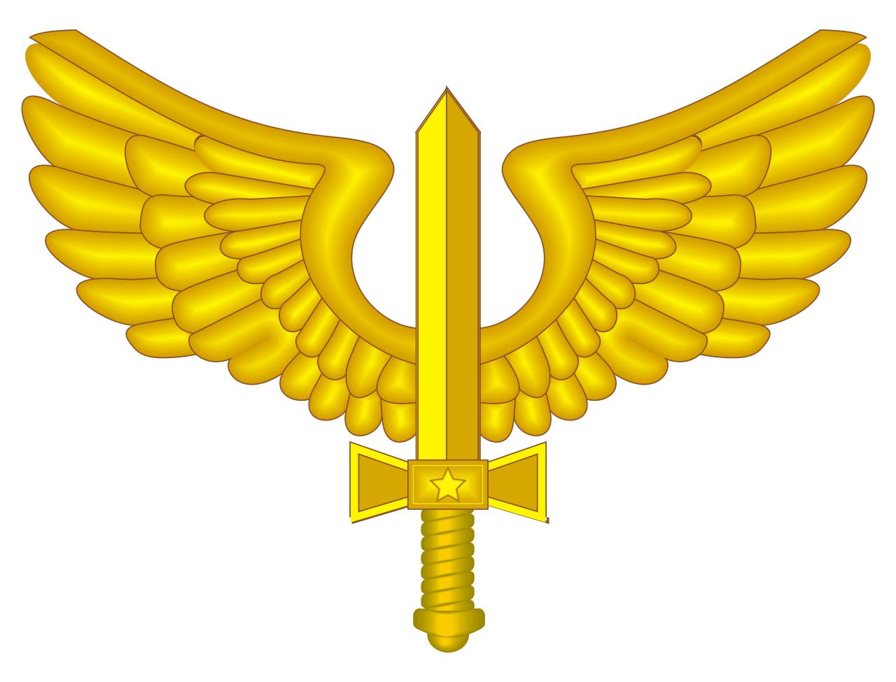 Military rank identification of each country: Brazil - iMedia