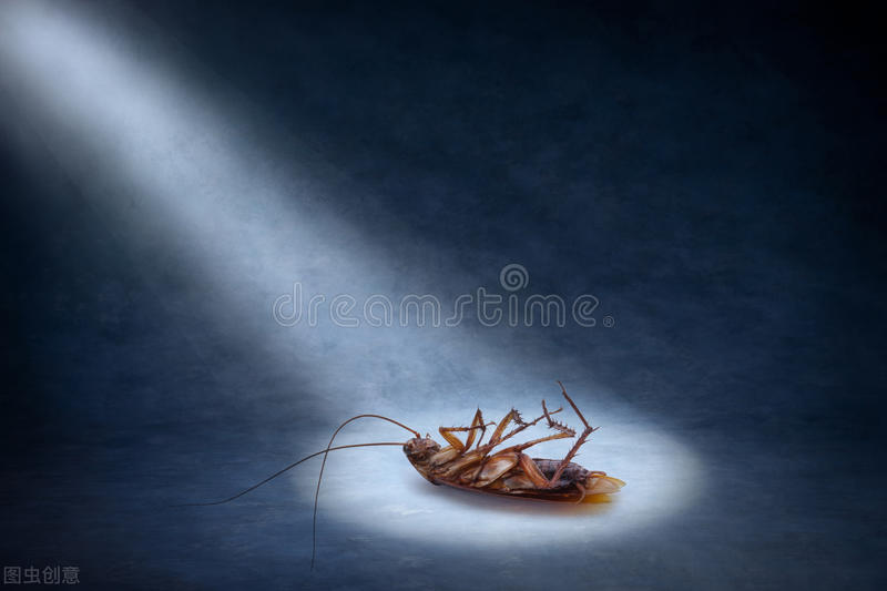 The surviving species of asteroid impact are stronger in space. Is ...