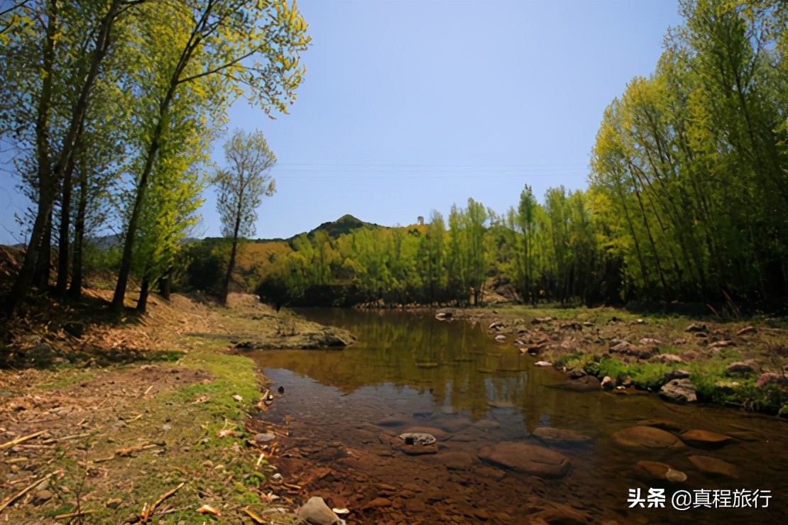 The spring water is gushing with bubbles like pearls, which is known as ...