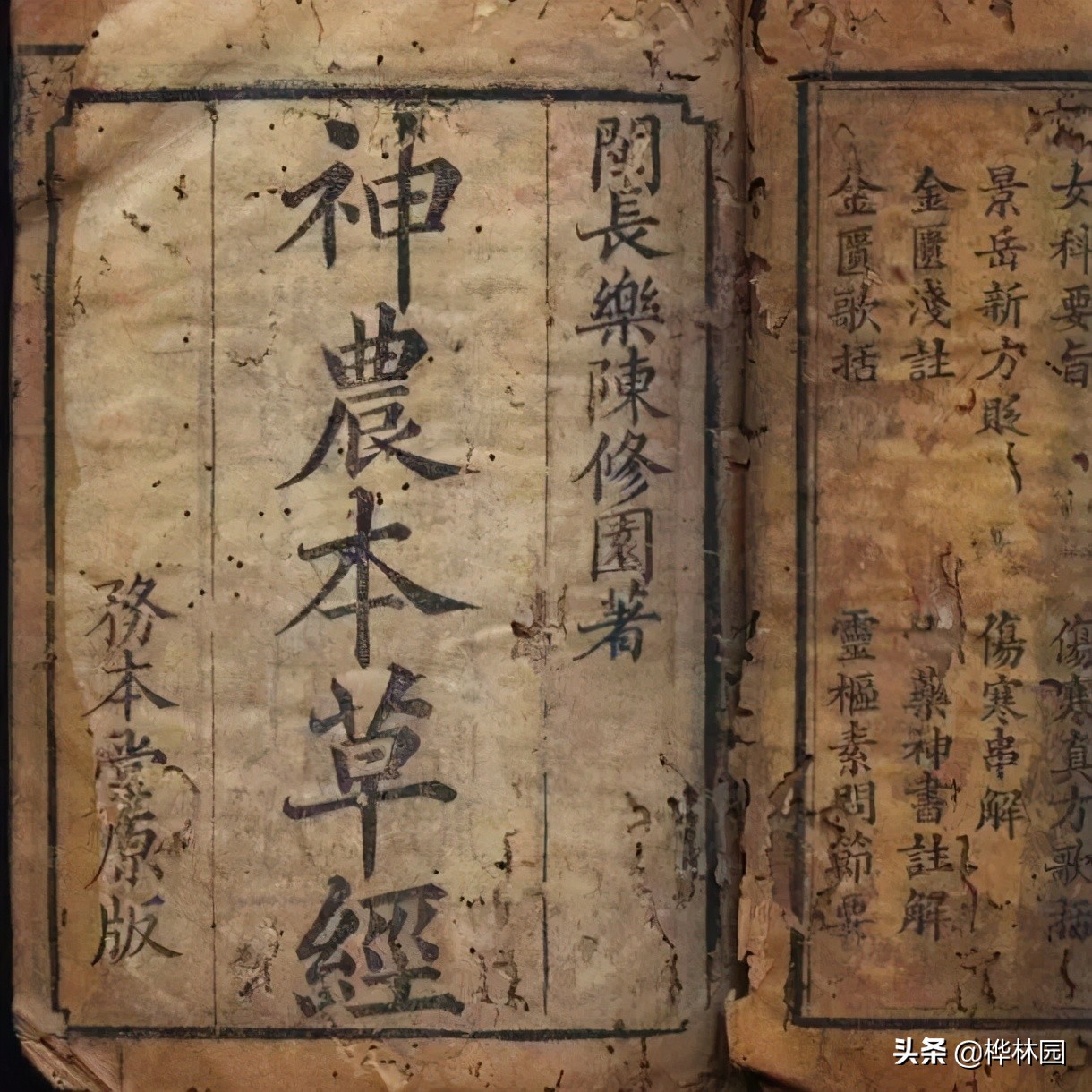 What is the source of Chinese traditional culture? - iMedia