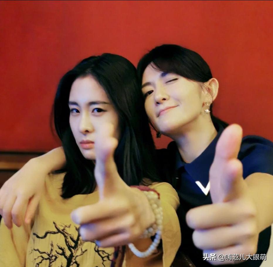 The absurd love history of traffic niche Hua Chenyu, who gave birth to ...