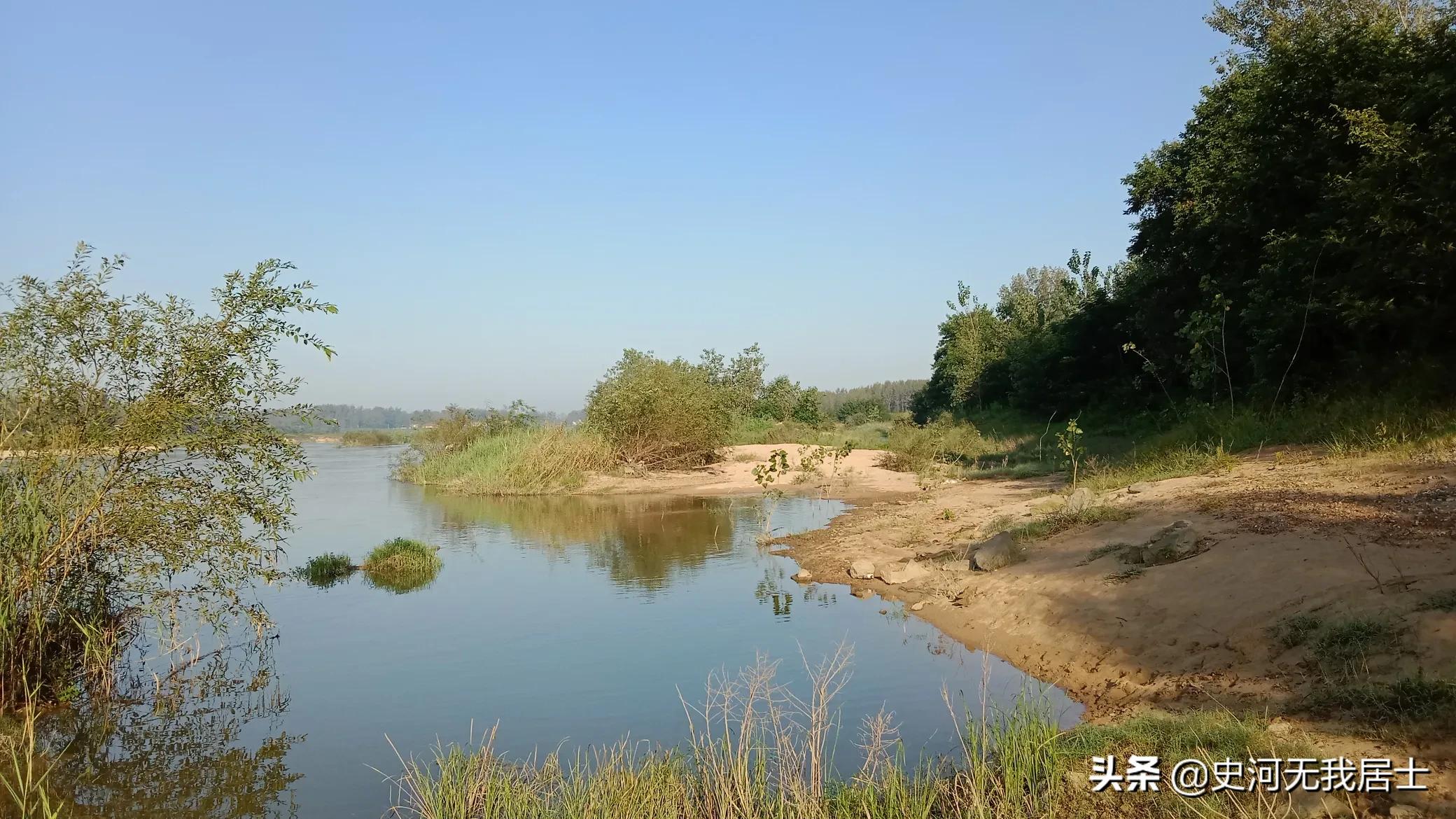 Yunshi tree that is also flower and medicine - iMedia