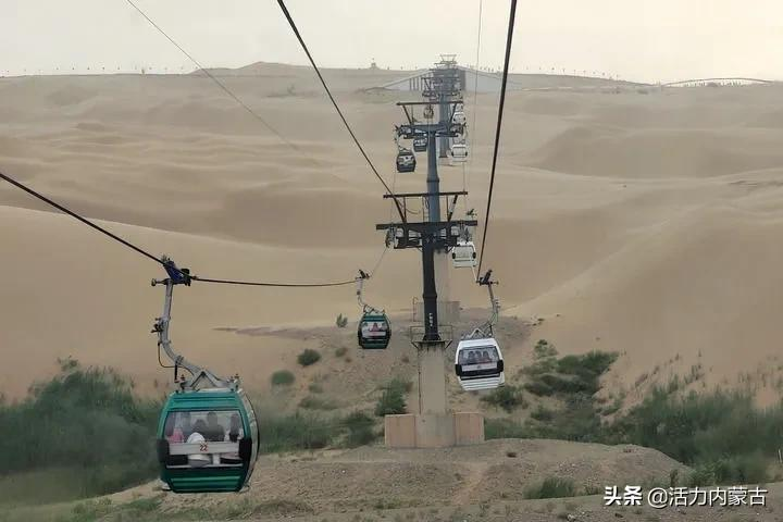 Kubuqi Desert Green Gold - iMedia