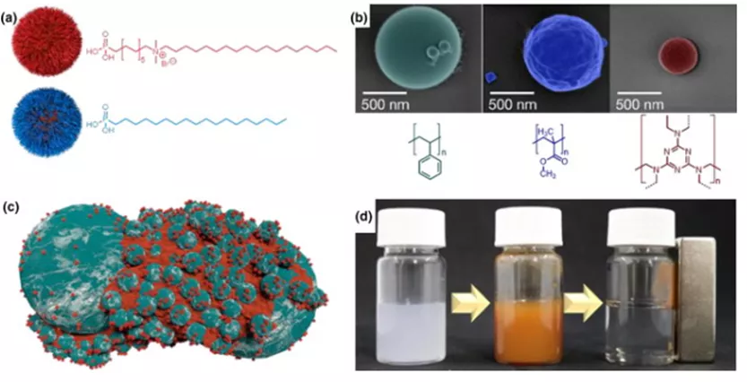 Worried about drinking nano-plastic particles?Scientists have developed ...