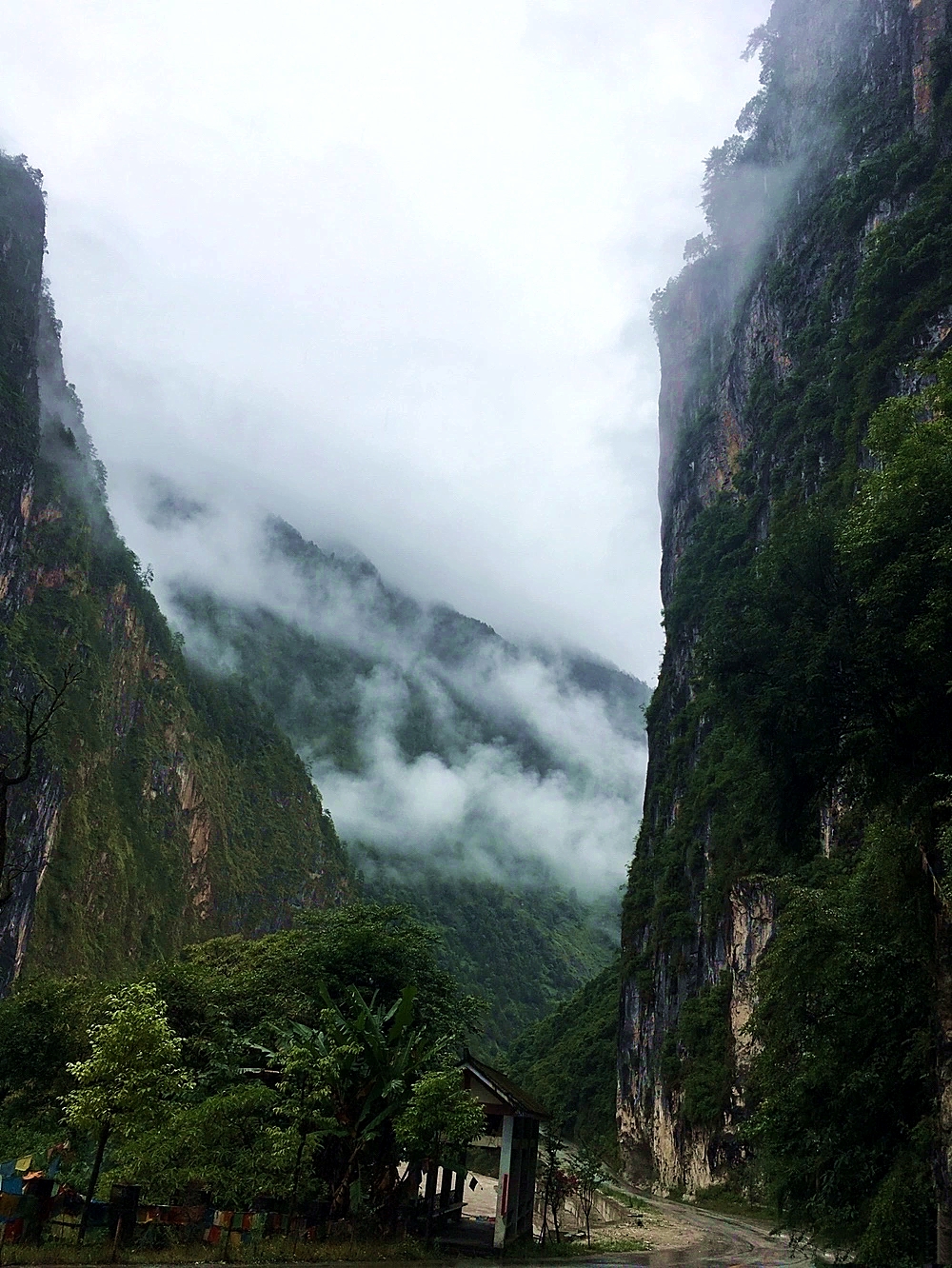 Two brothers and beautiful women drive Haval H5 into Tibet to detoxify, crying, laughing and ...