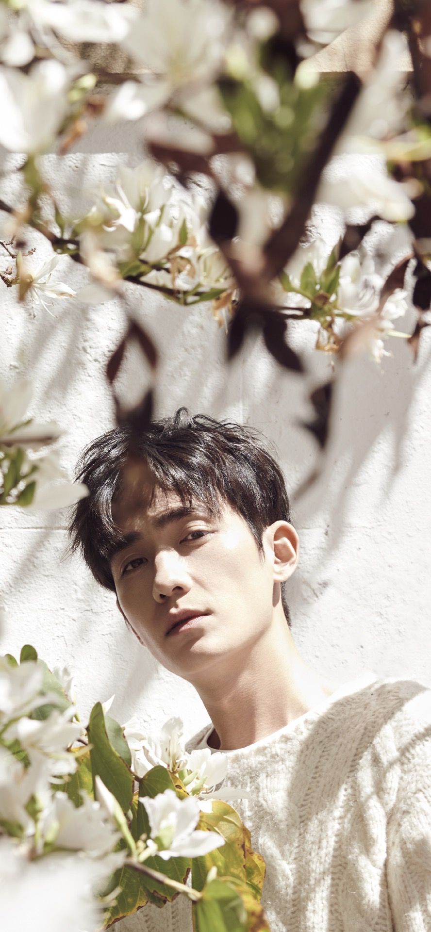 Luo Yunxi Zhu Yilong Li Xian Liu Yuxin Wallpaper - iMedia