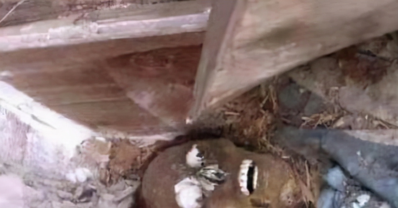 Li Lianying's tomb was dug up, and the scene that frightened the ...