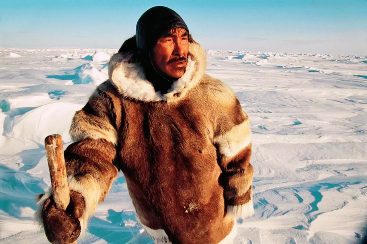 The famous Eskimo dish of pickled puffins, the "stinky" of ray fillets ...